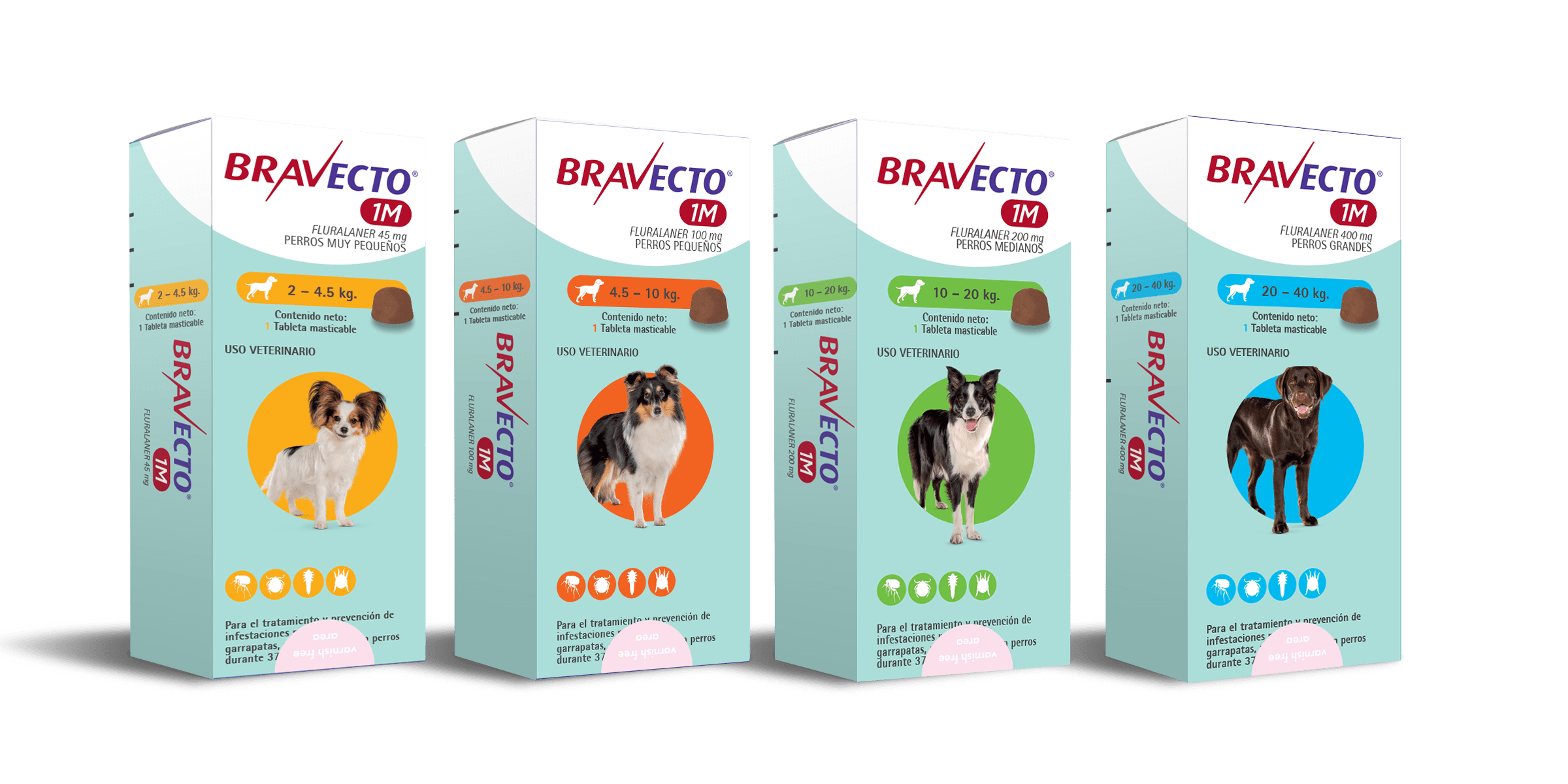 Bravecto - Soluciones efectivas contra pulgas y garrapatas