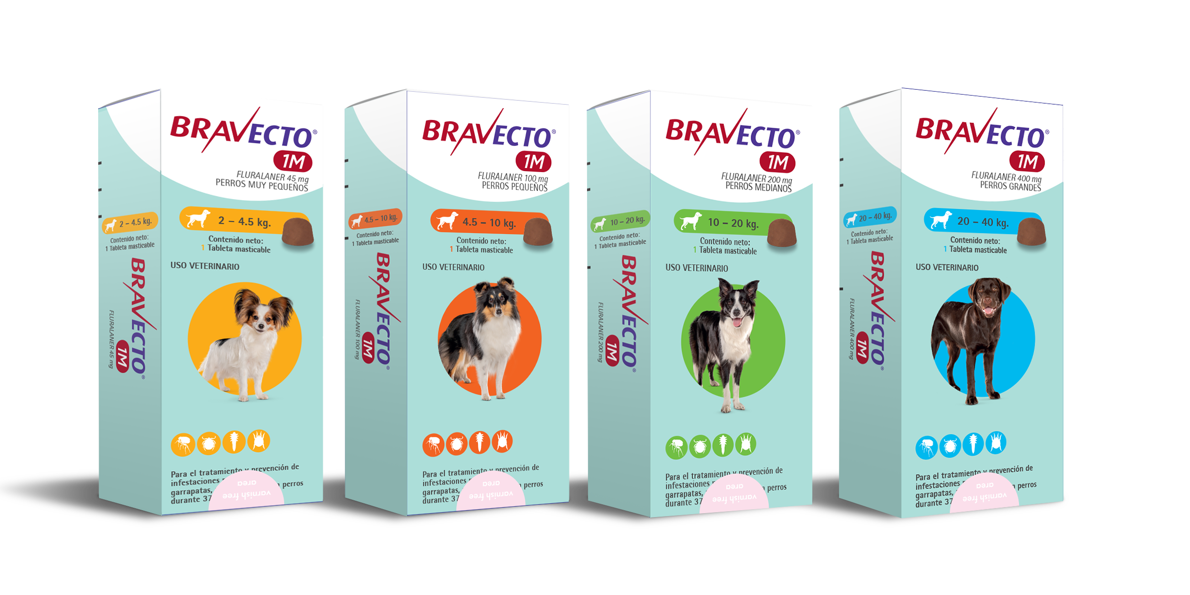 Bravecto - Soluciones efectivas contra pulgas y garrapatas